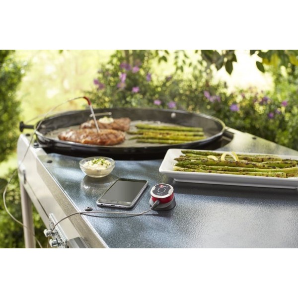 WEBER "IGRILL" MINI